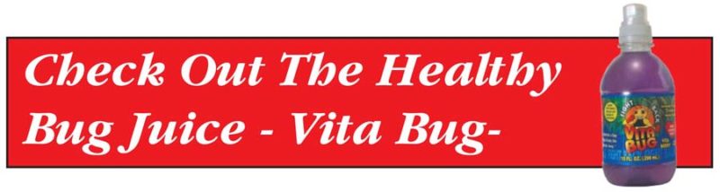 Bug Juice – Official Website